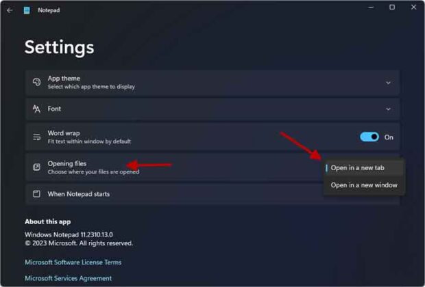 How to Fix Notepad Opening the Same File in Several Tabs and Opening ...
